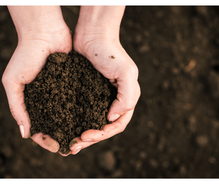 5. Promoting New Growth