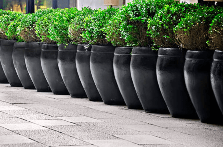 Bulk Fiberglass Planters NYC
